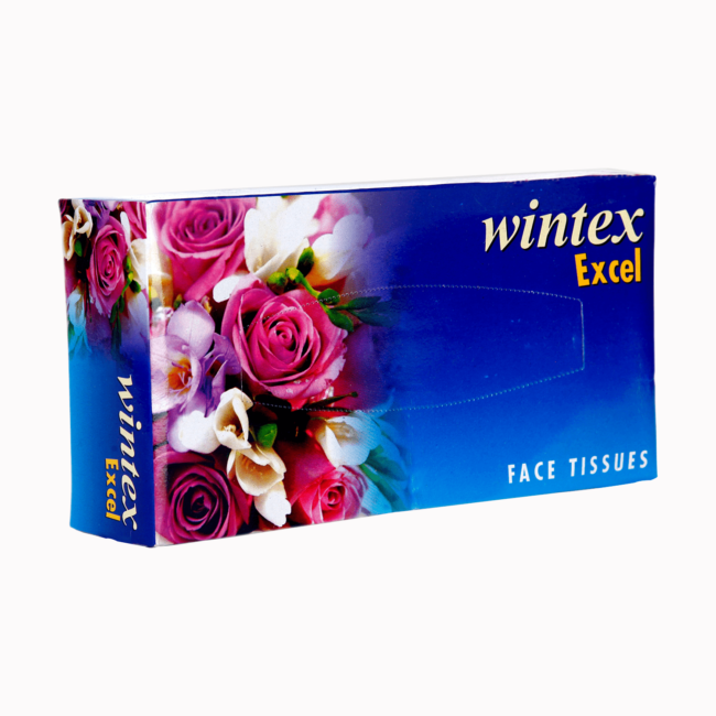 Wintex Class Face Tissue (100 pulls / 200 sheets) – Wintex