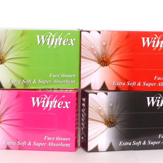 Wintex New Face Tissue (100 pulls / 200 sheets) – Wintex
